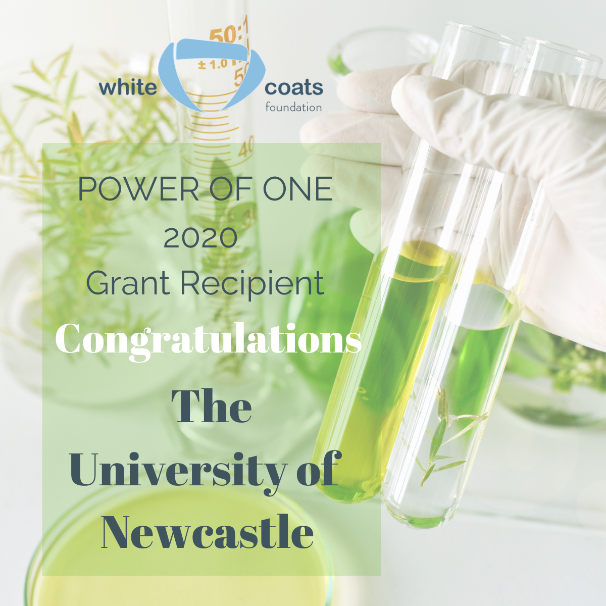 Grants | White Coats Foundation